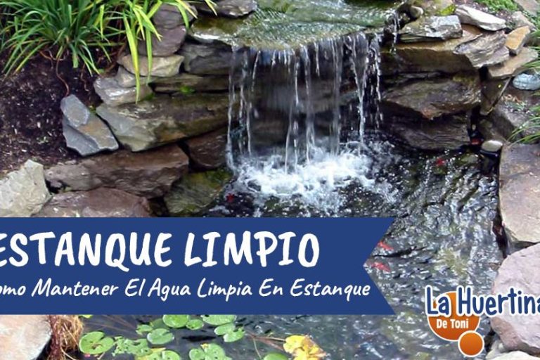 Maravillas de la Naturaleza: Animales con Mucho Pelo y Flequillo