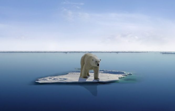 Tipos de ecosistemas para niños: Una guía divertida sobre su definición ...