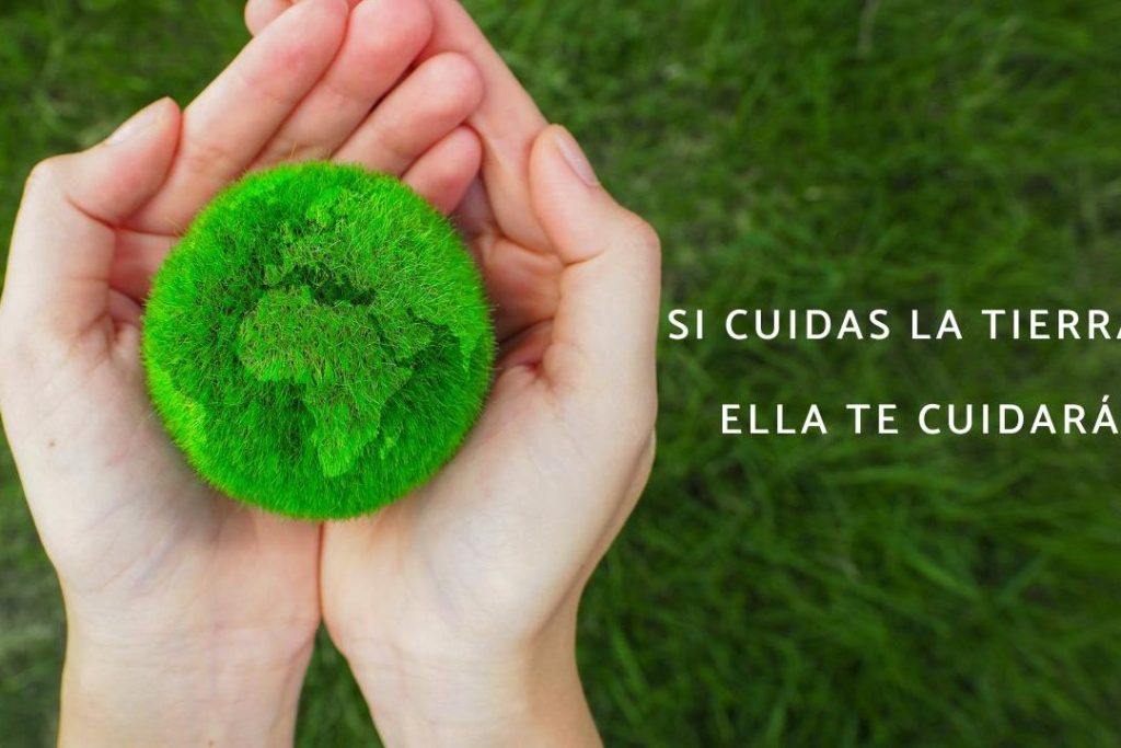 Inspiradoras ideas sobre eslogan del medio ambiente y frases ecológicas