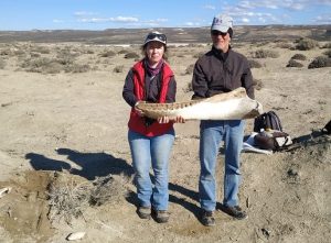 Peces Agnatos: Una Mirada a los Peces Sin Mandíbula en el Pasado y Presente